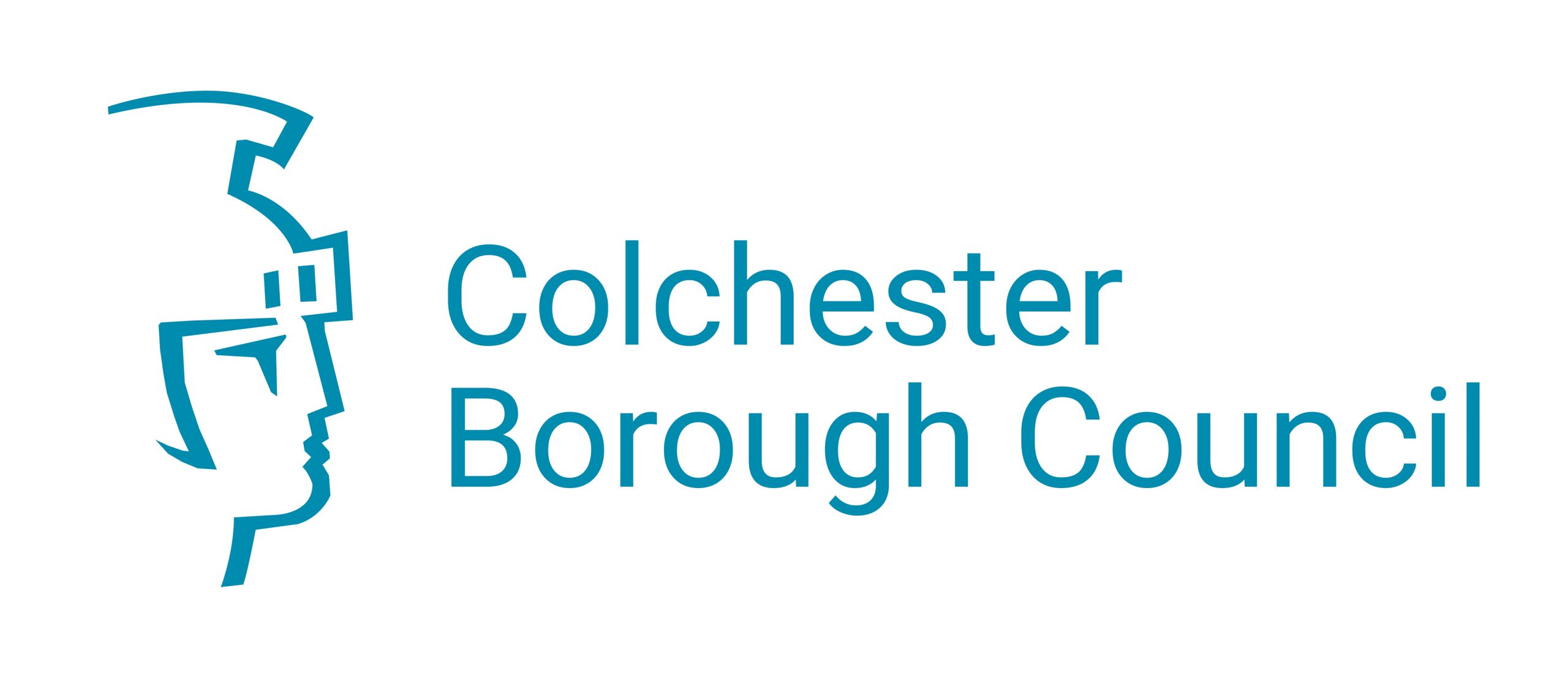 Colchester Borough Council Logo 2022 - Arthritis Action